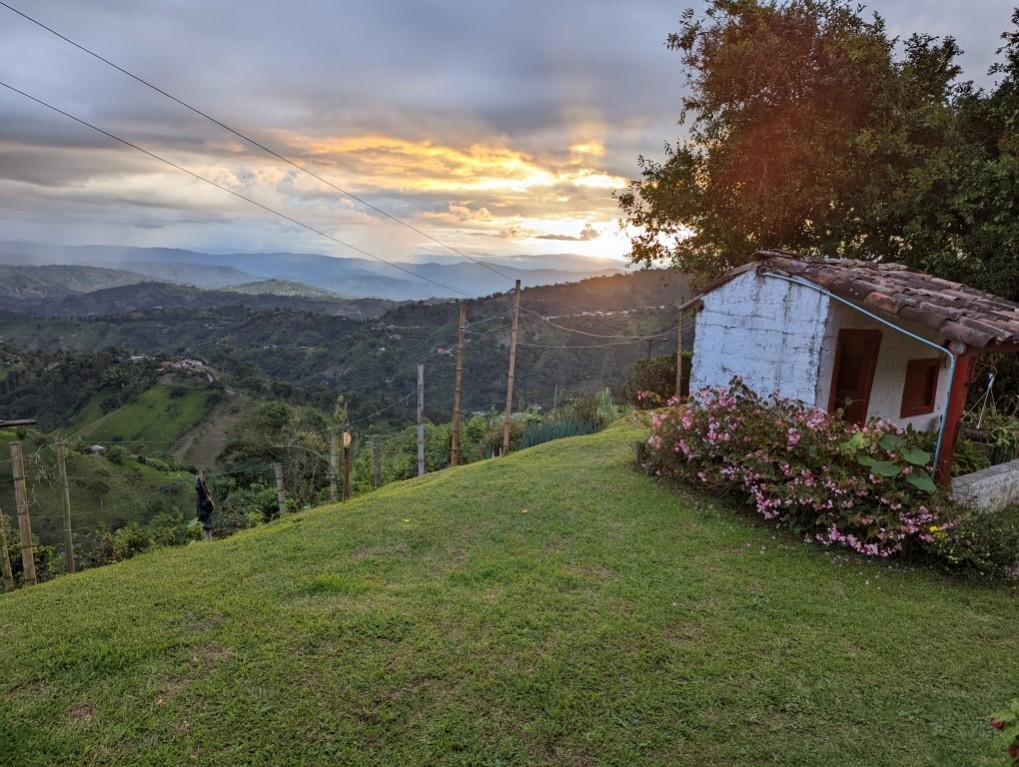 Infusion Coffee Starter Pack — Infusion Coffee & Tea Crafters