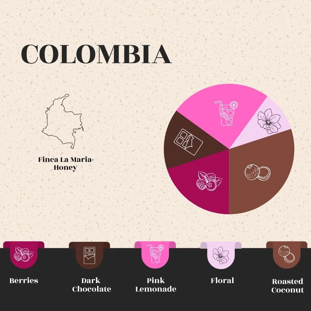 Infusion Coffee Starter Pack — Infusion Coffee & Tea Crafters