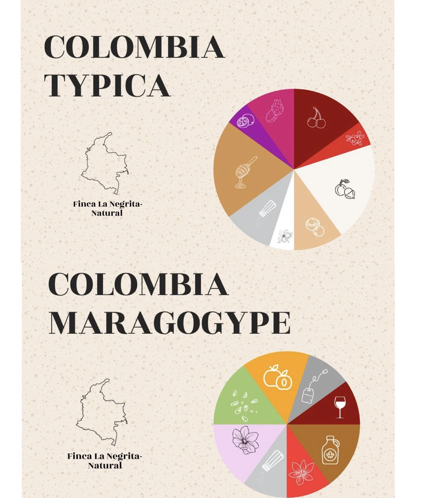 Infusion Coffee Starter Pack — Infusion Coffee & Tea Crafters