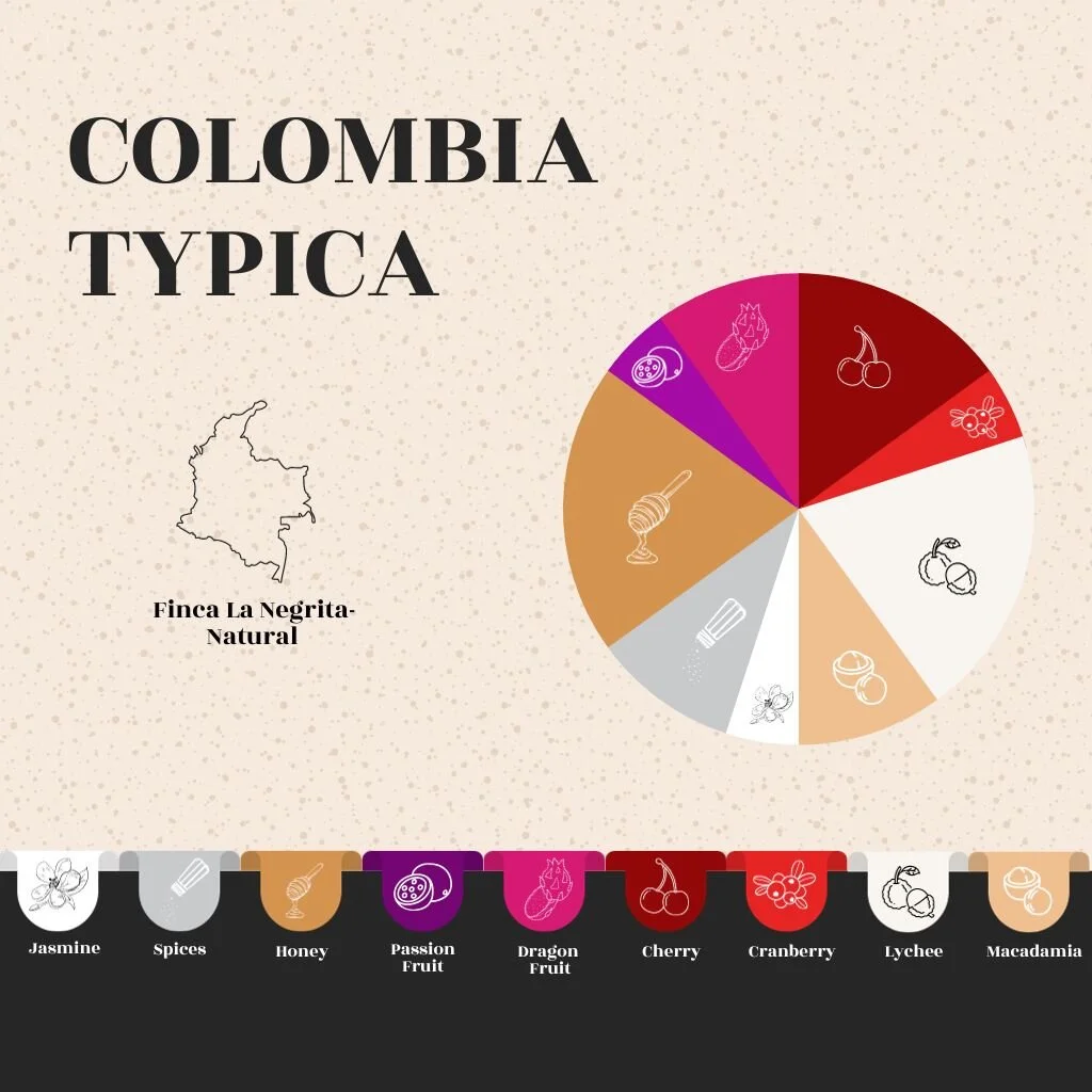 Infusion Coffee Starter Pack — Infusion Coffee & Tea Crafters