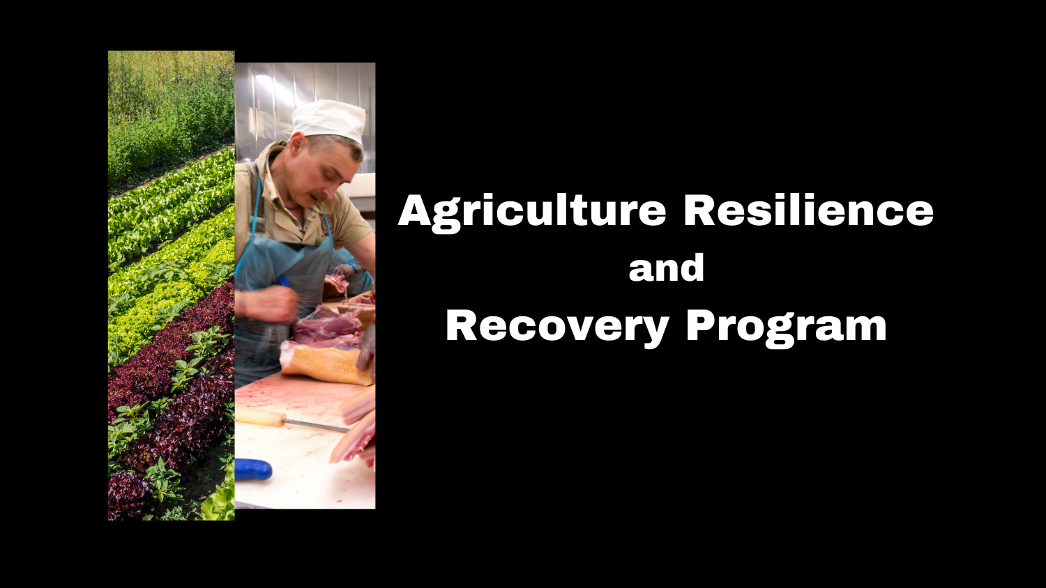 Agriculture Resilience and Recovery Program — Food and Fibre Gippsland