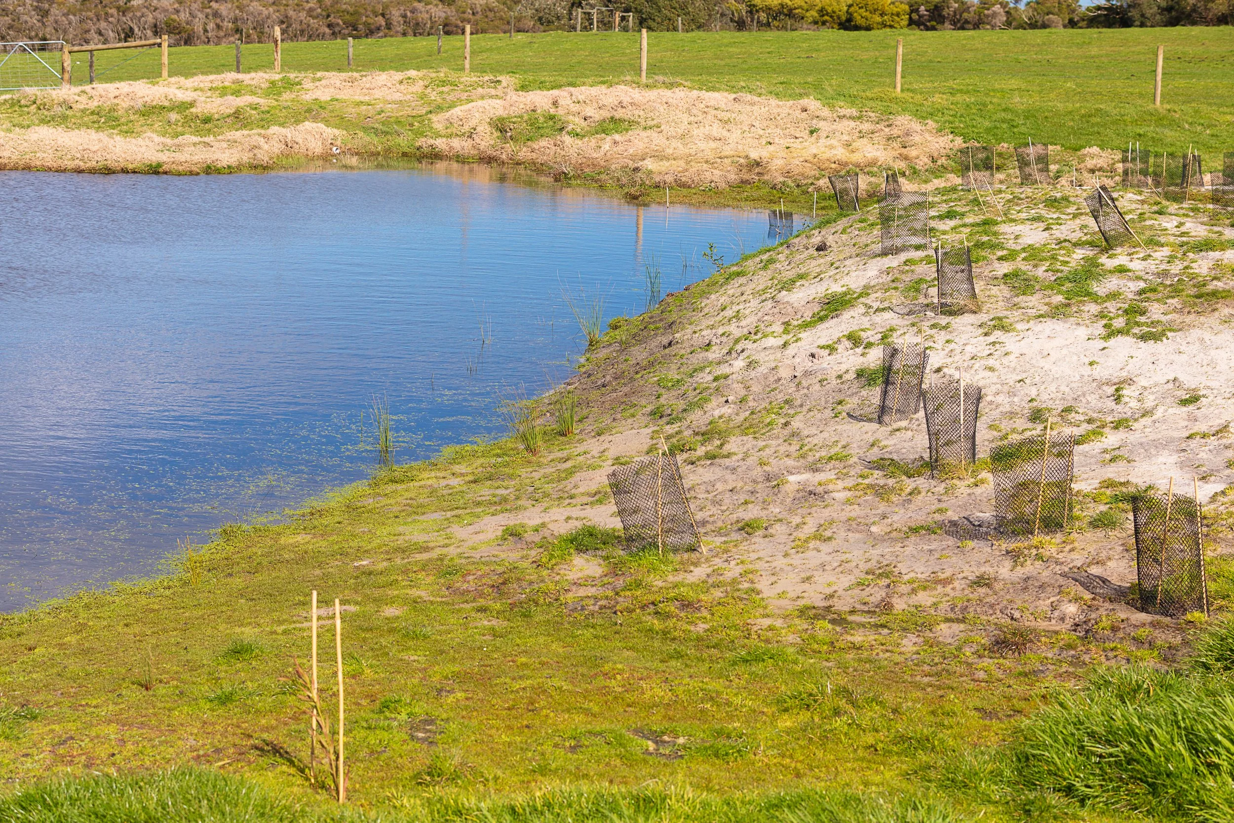 Jillian’s vision helps bring ‘Green Dams’ project to fruition — Food ...