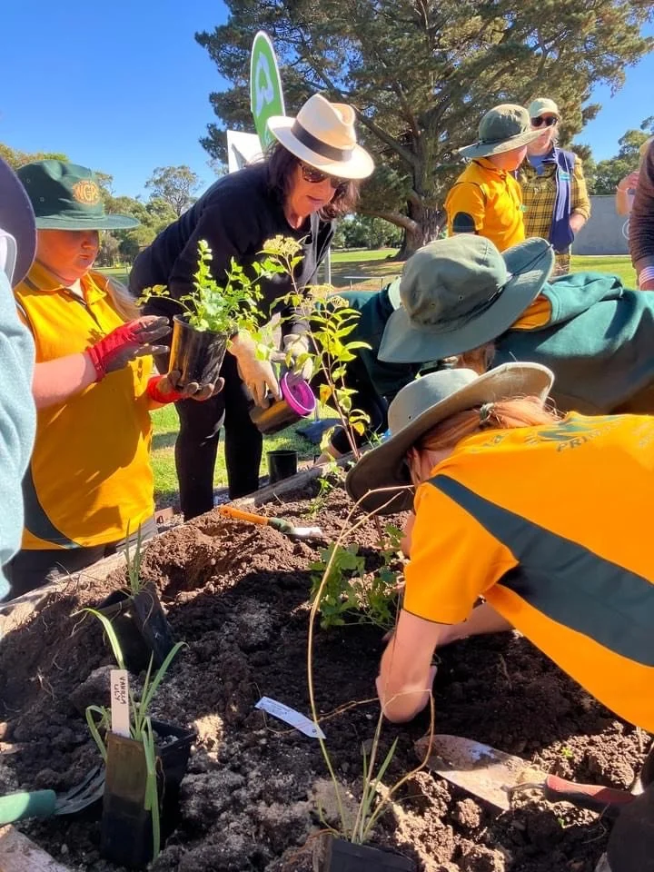 Peppermint Ridge Farm: specialising in native food propagation, growing ...