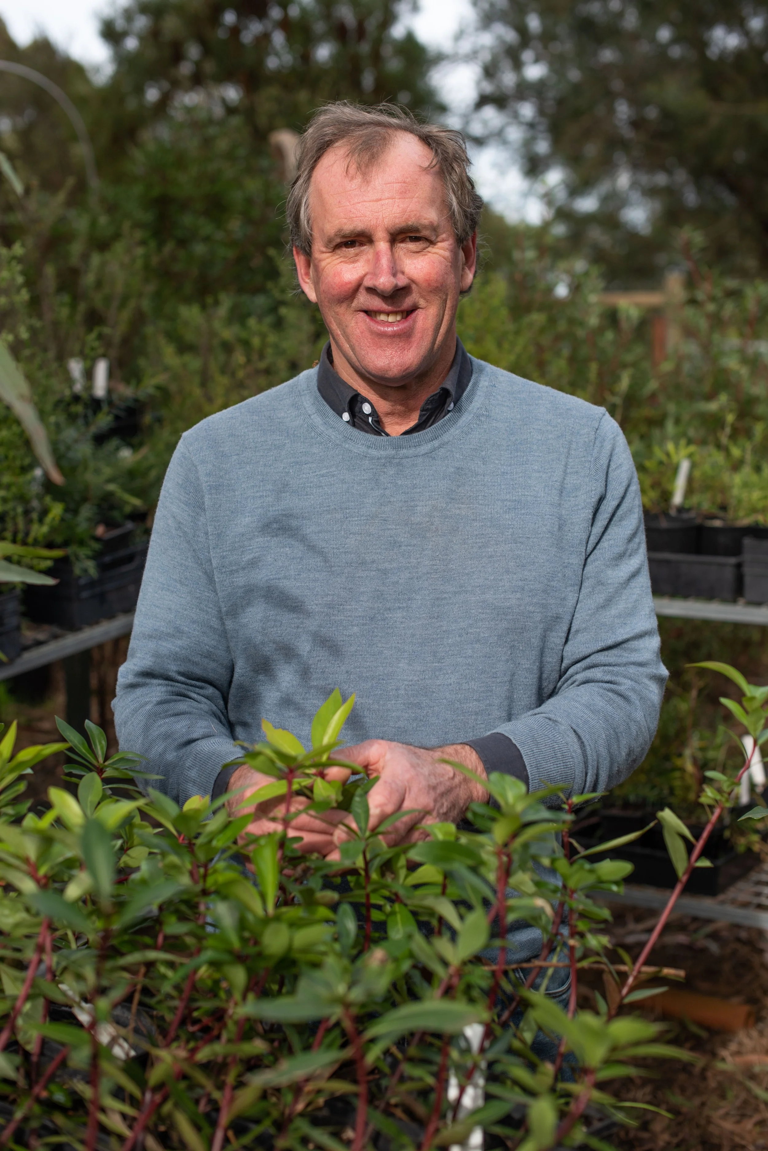 Peppermint Ridge Farm: specialising in native food propagation, growing ...