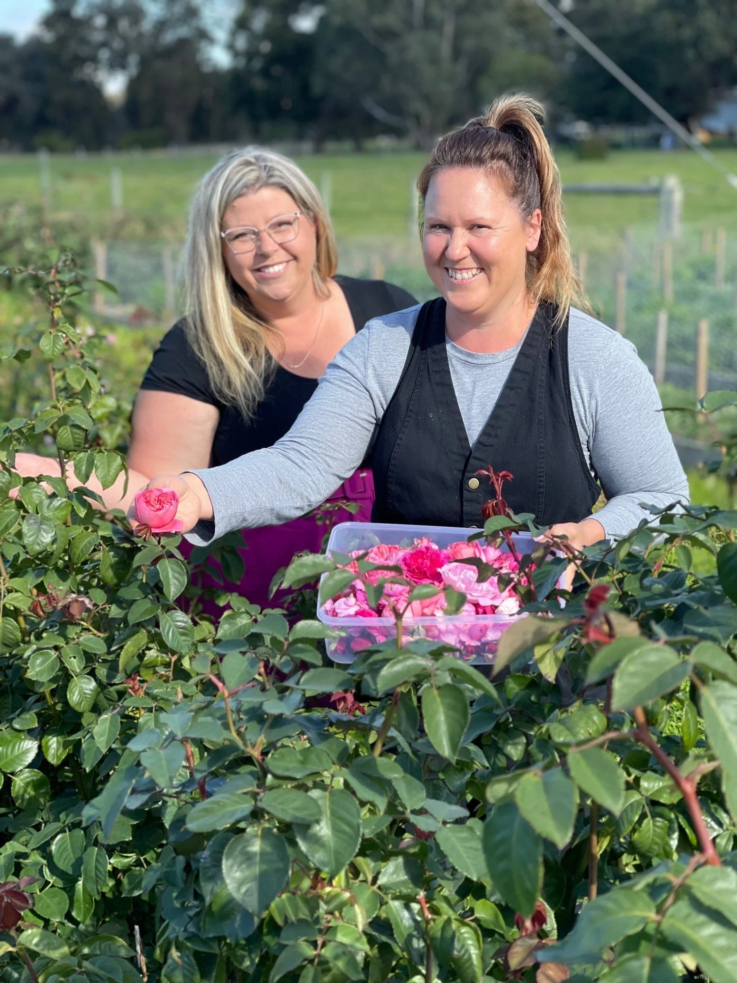 New Career Path Blooms — Food and Fibre Gippsland