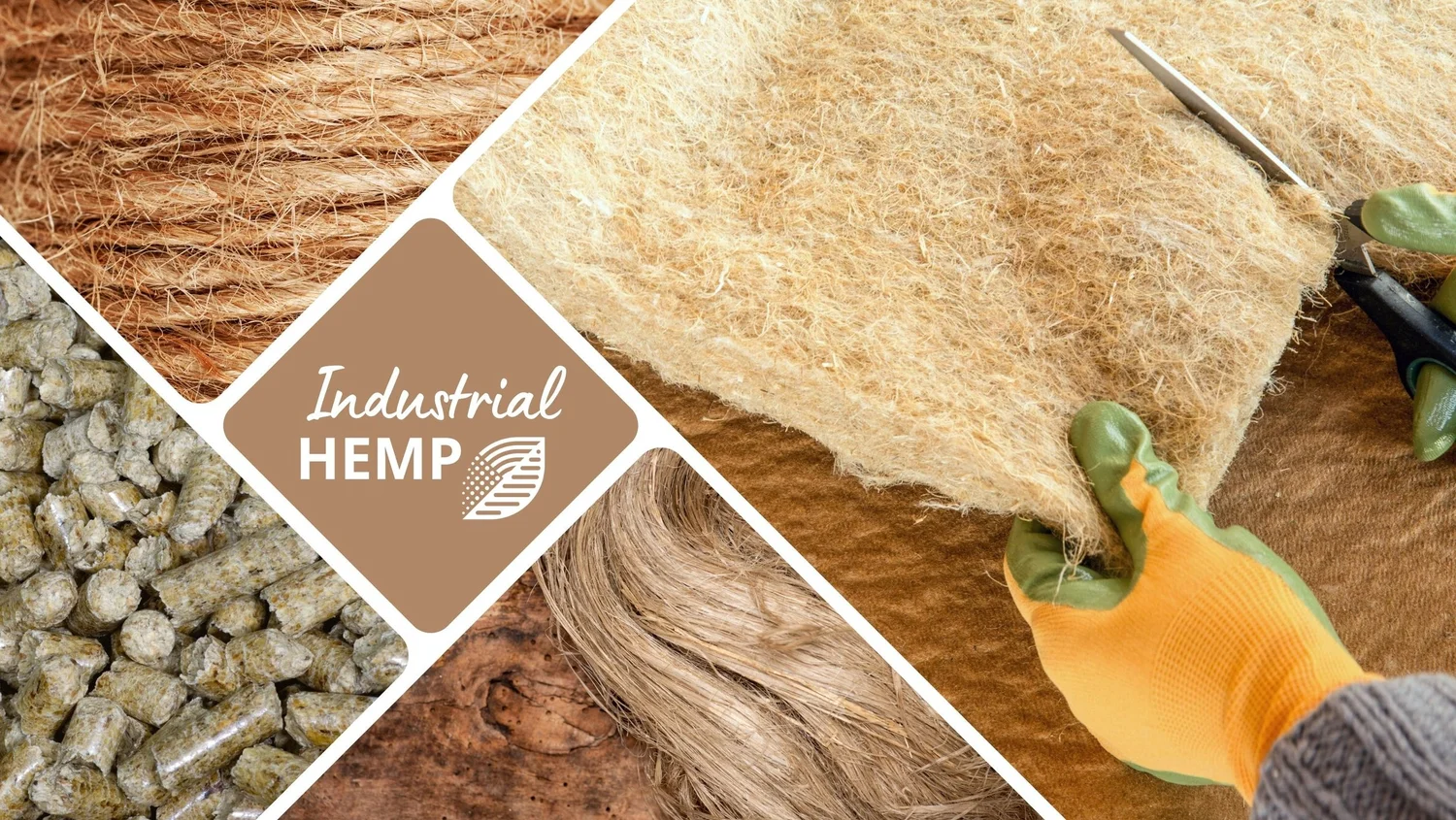 GS3 update: Industrial hemp project gathers momentum — Food and Fibre ...