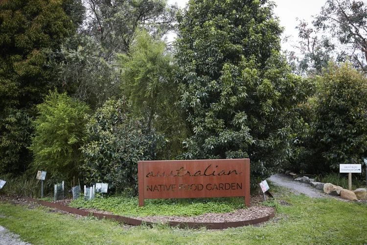 Peppermint Ridge Farm: specialising in native food propagation, growing ...