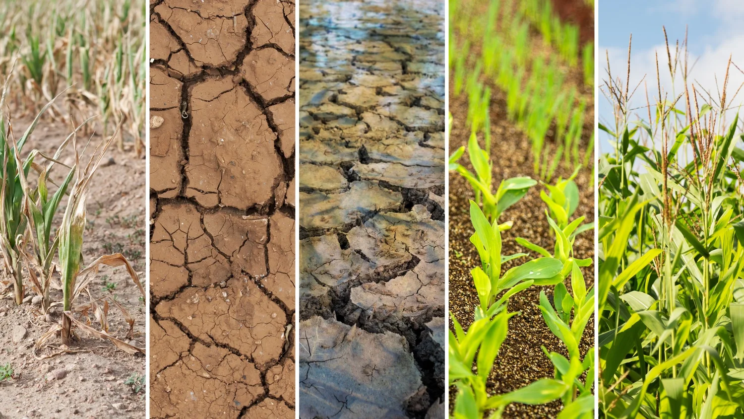 Modelling to assist Gippsland farmers prepare for drought — Food and ...