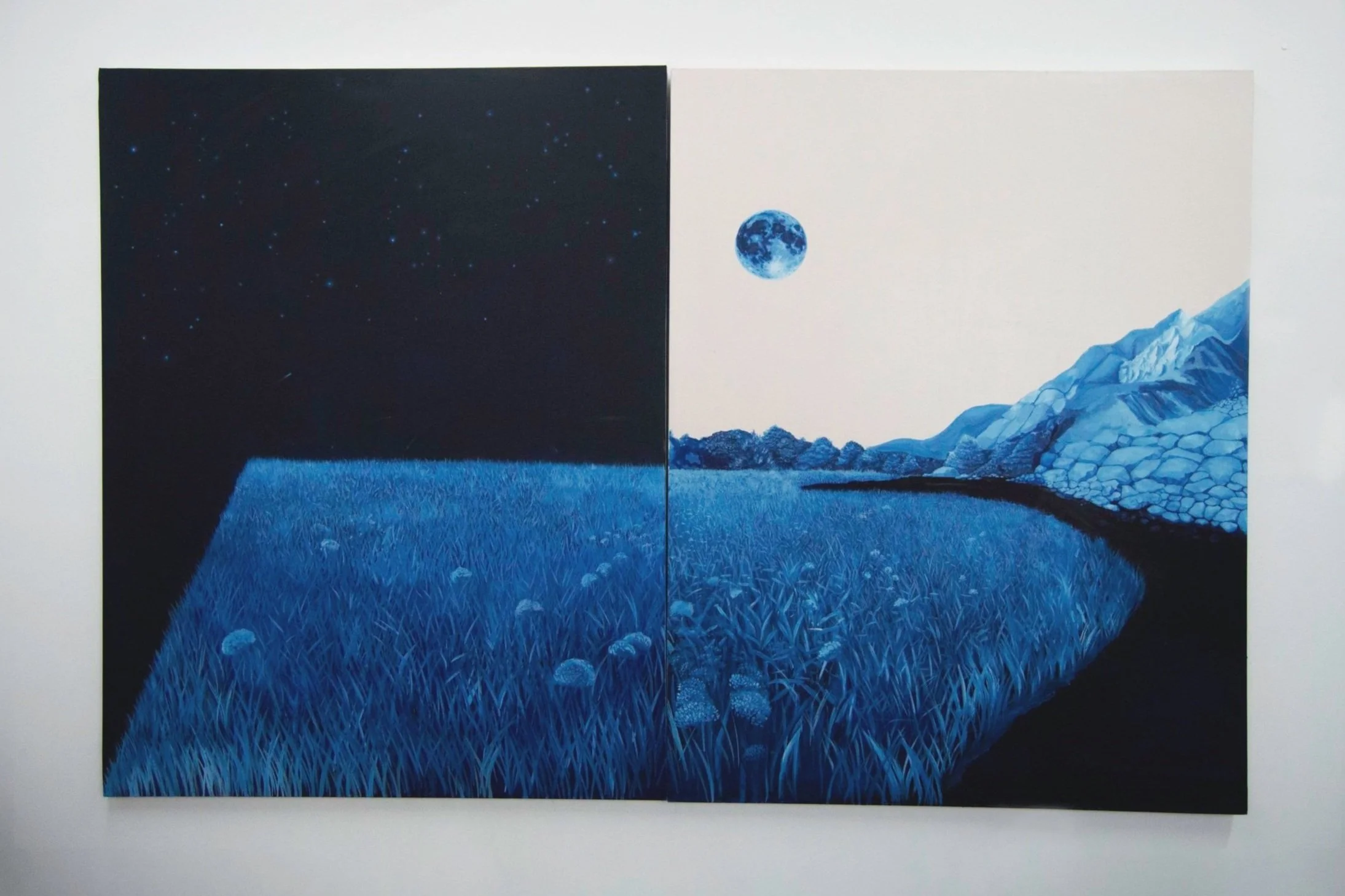 michele pierson fine art