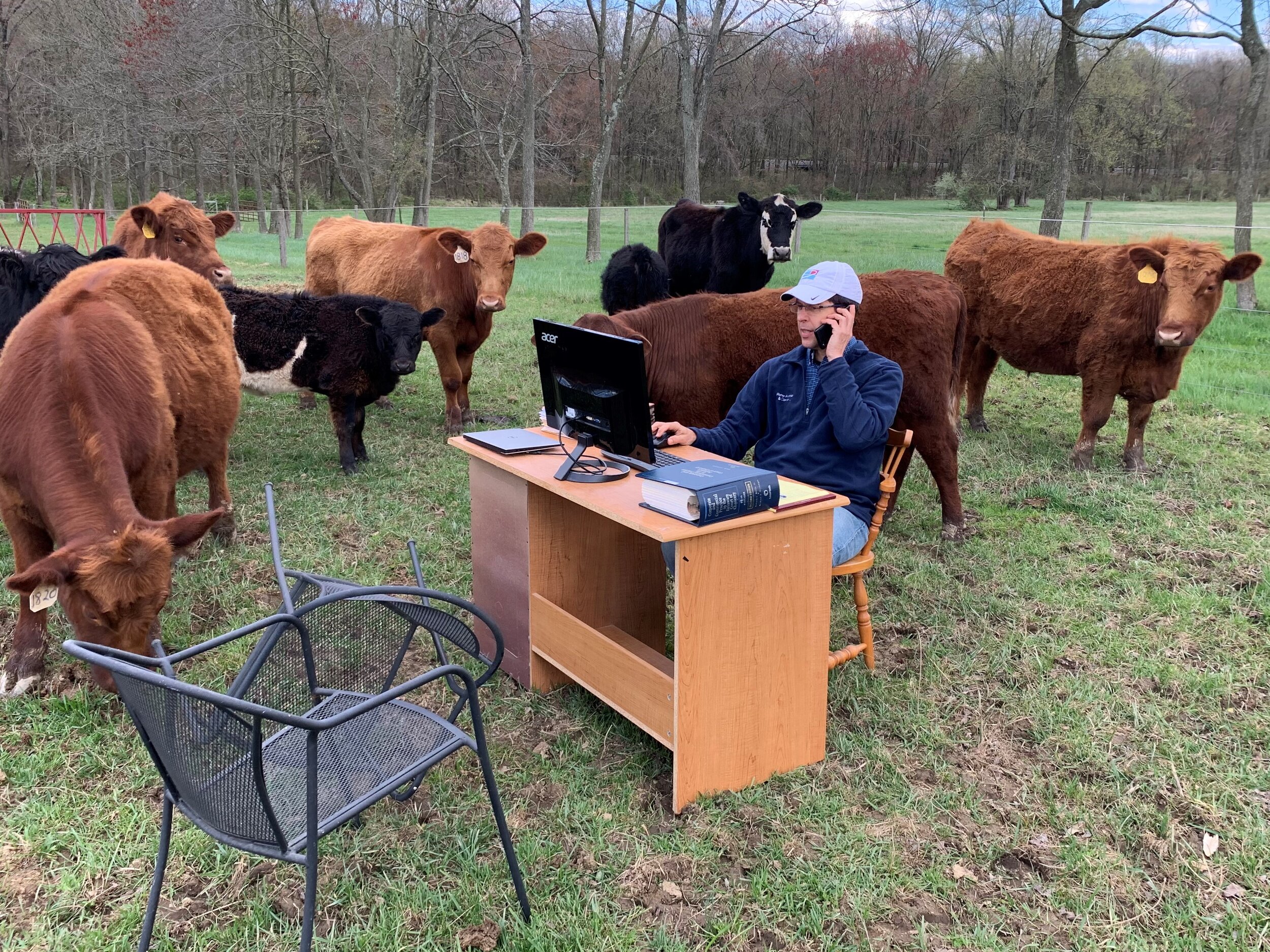 Gallery 2 — Eder Farm