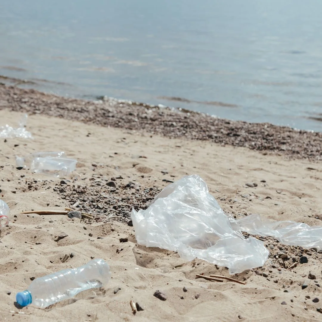 Taking Action Against Plastic Pollution: Earth Day 2024 | 10 Steps to ...