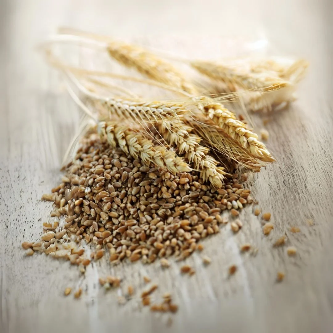 Go With Grains: Embrace the Health Benefits of Whole Grains — Real ...