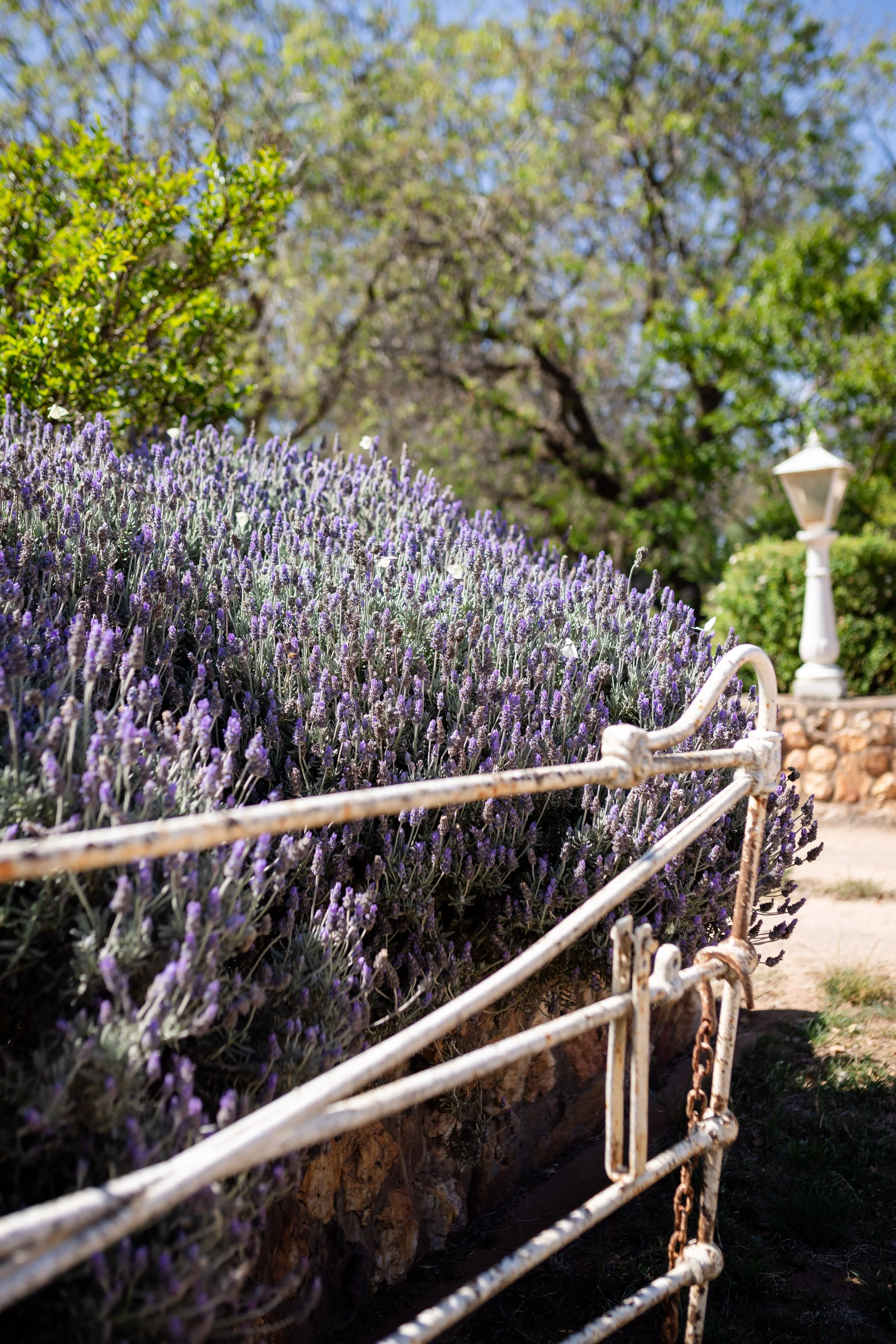 The Pioneers Cottage- Ariah Park. — Visit Temora