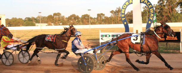 Events — Visit Temora