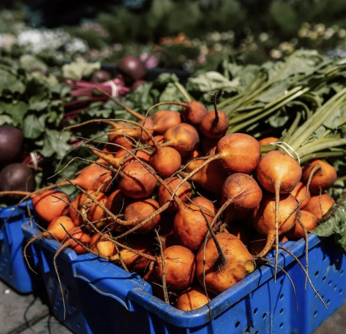Farmers Market — Saskatoon Farm