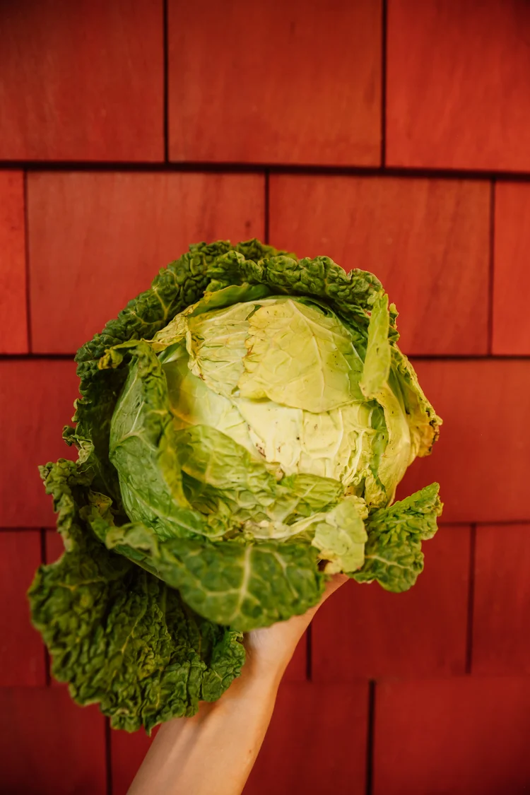 Farmers Market — Saskatoon Farm