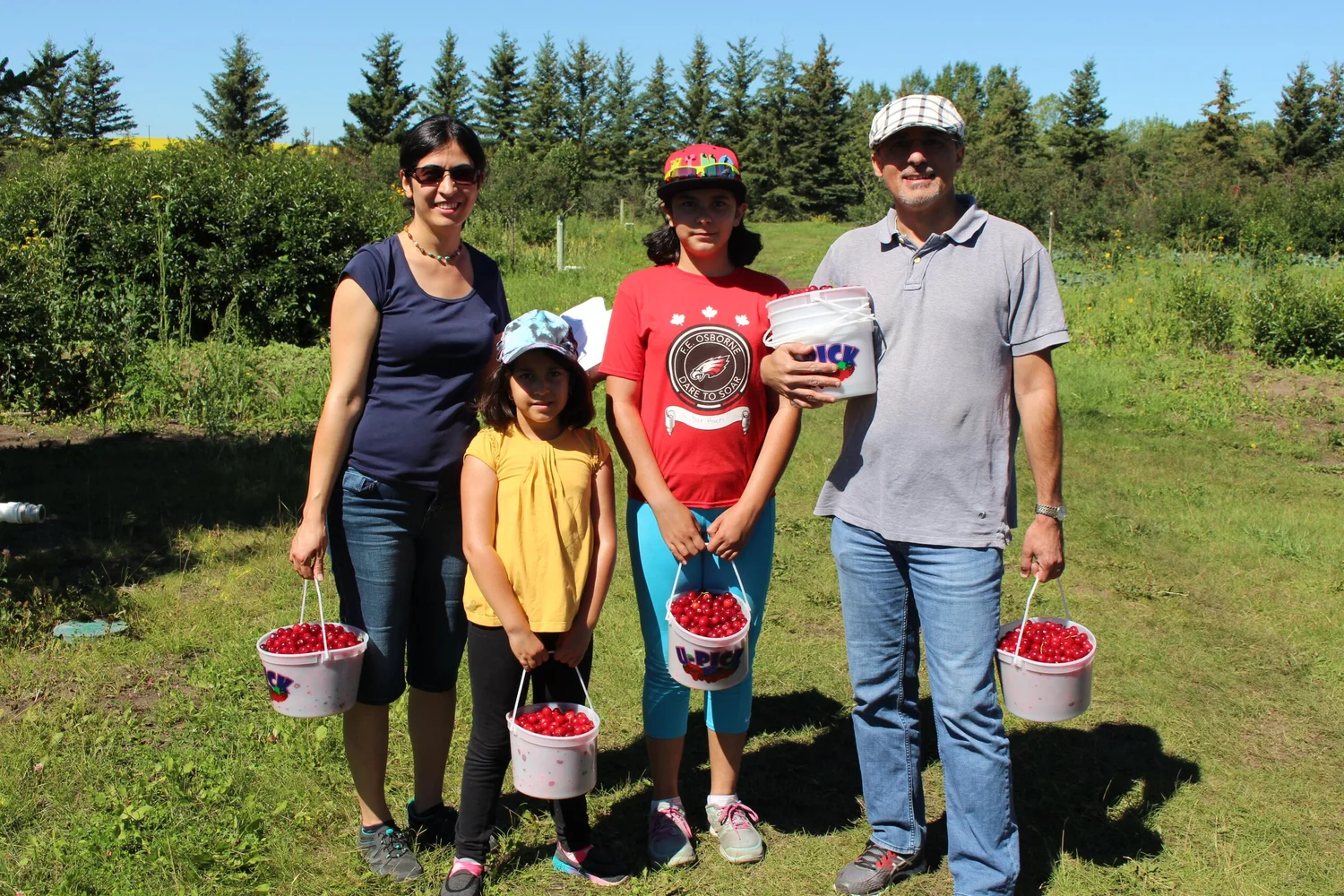U Pick | Experience Farm-Fresh Picking Today — Saskatoon Farm