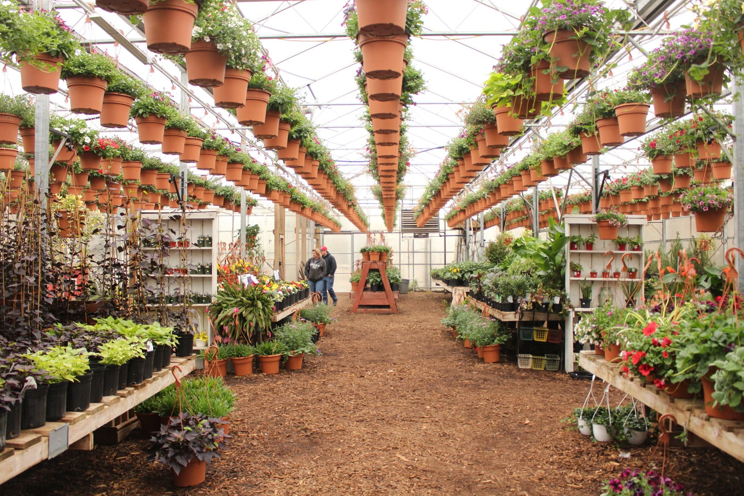 Garden Centre — Saskatoon Farm