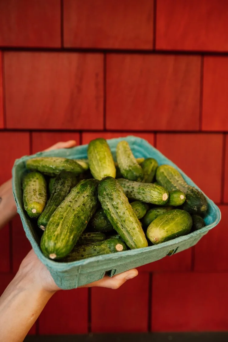 Store 1 — Saskatoon Farm