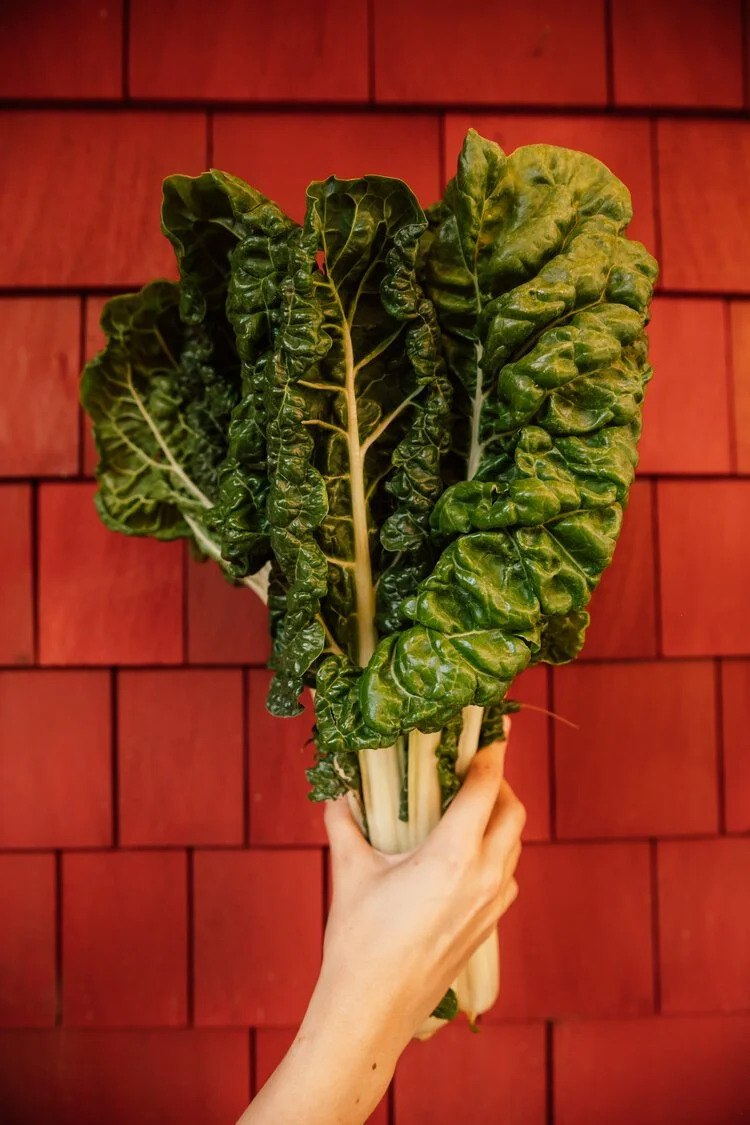 Store 1 — Saskatoon Farm