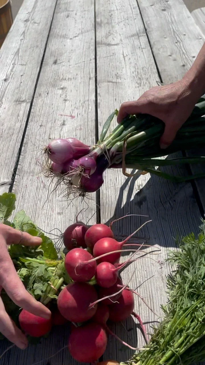 Upcoming Events — Saskatoon Farm