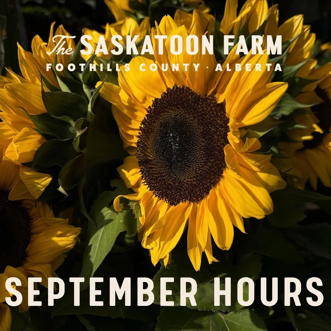 Contact — Saskatoon Farm