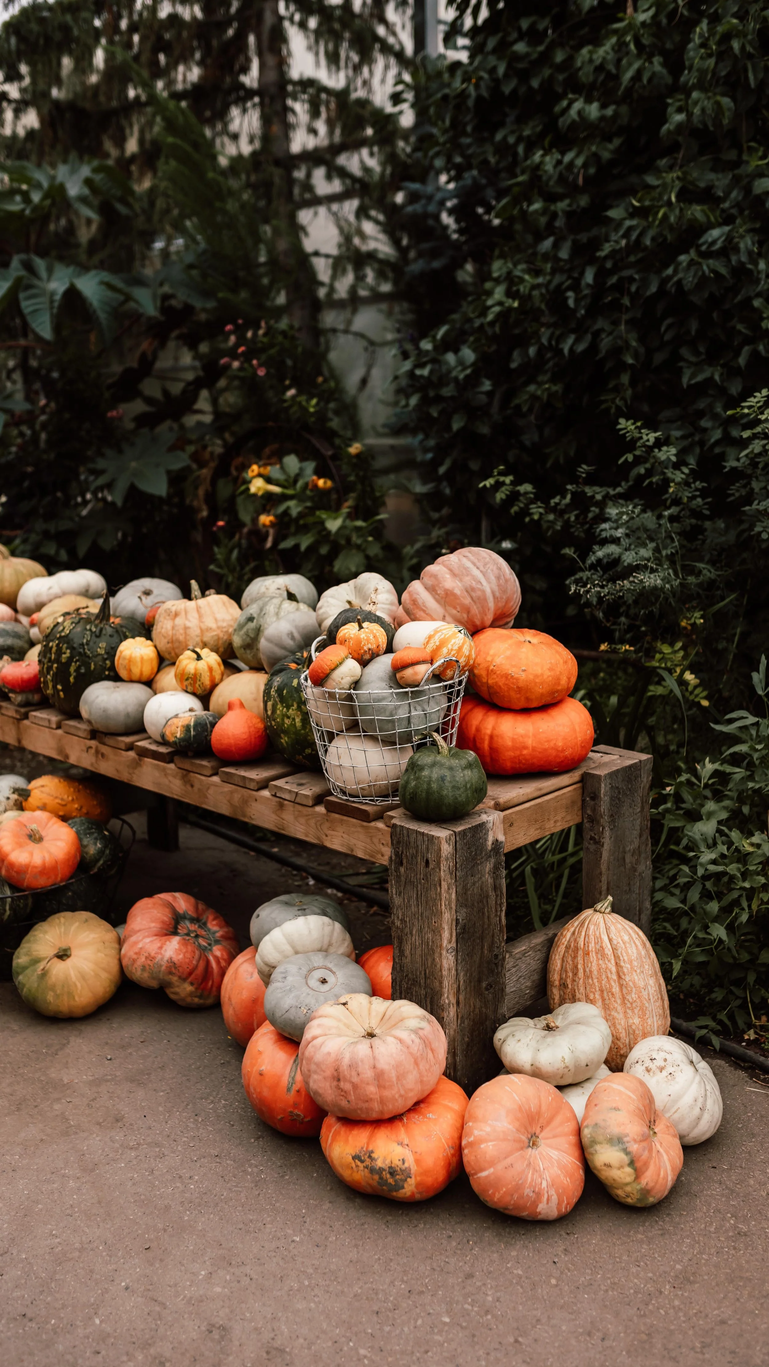 Upcoming Events — Saskatoon Farm