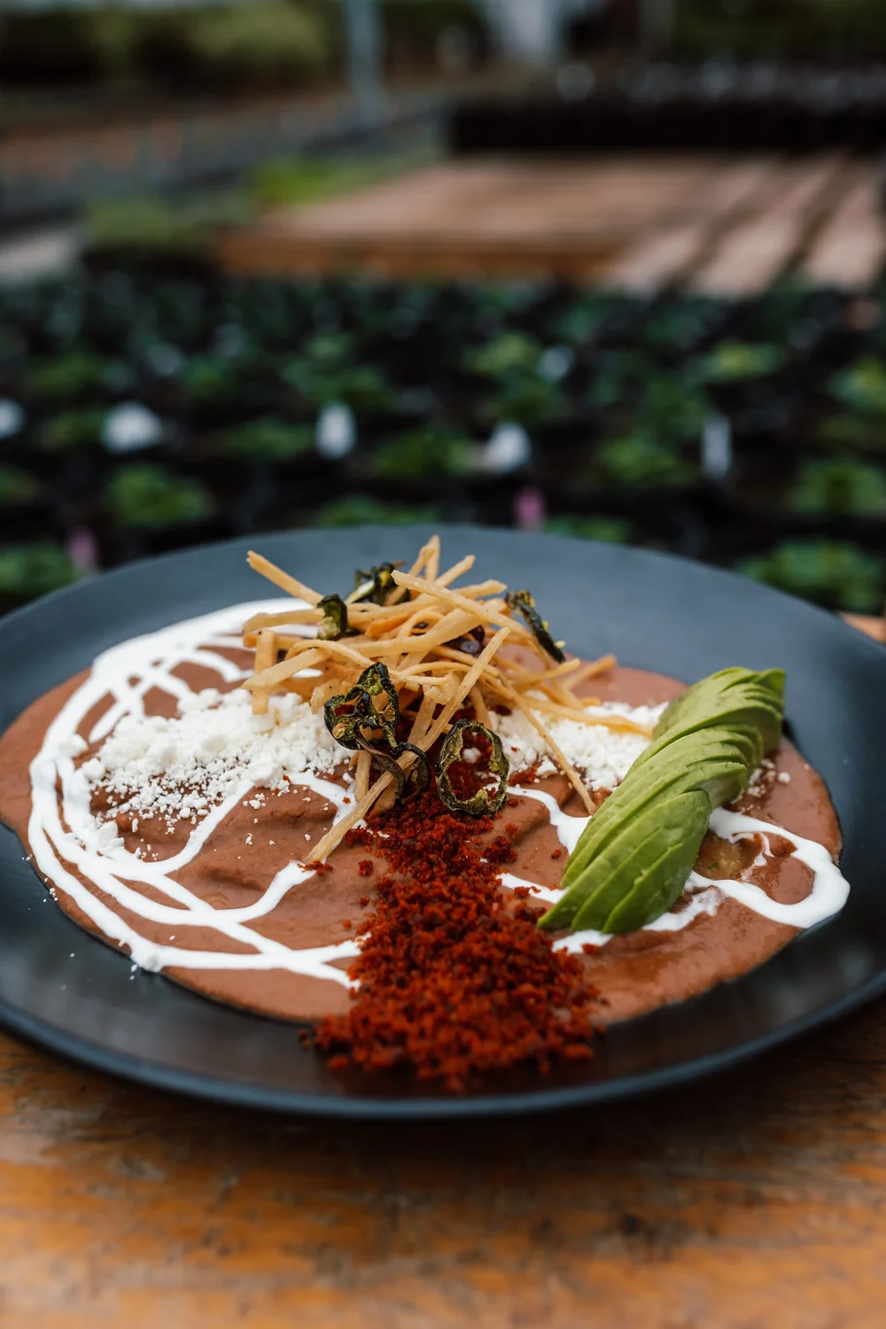 Restaurant | Visit & Dine Today - Book Your Table — Saskatoon Farm