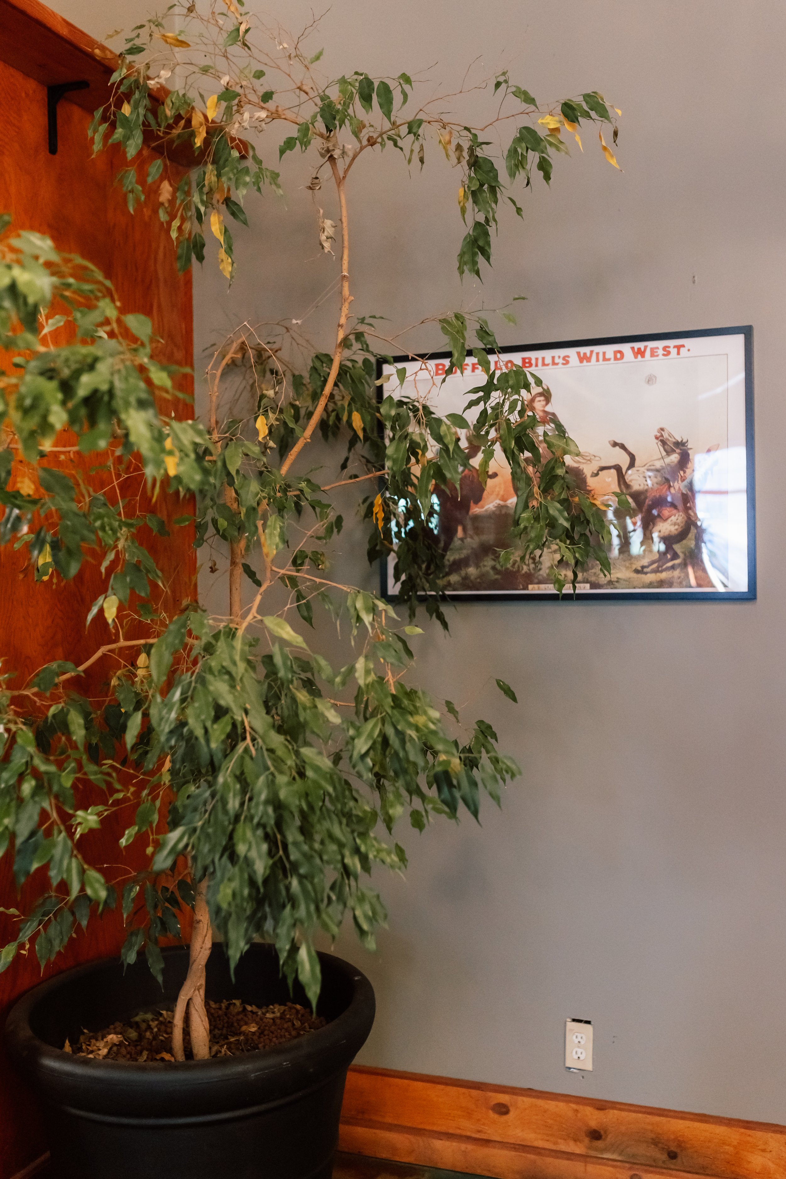 Restaurant — Saskatoon Farm