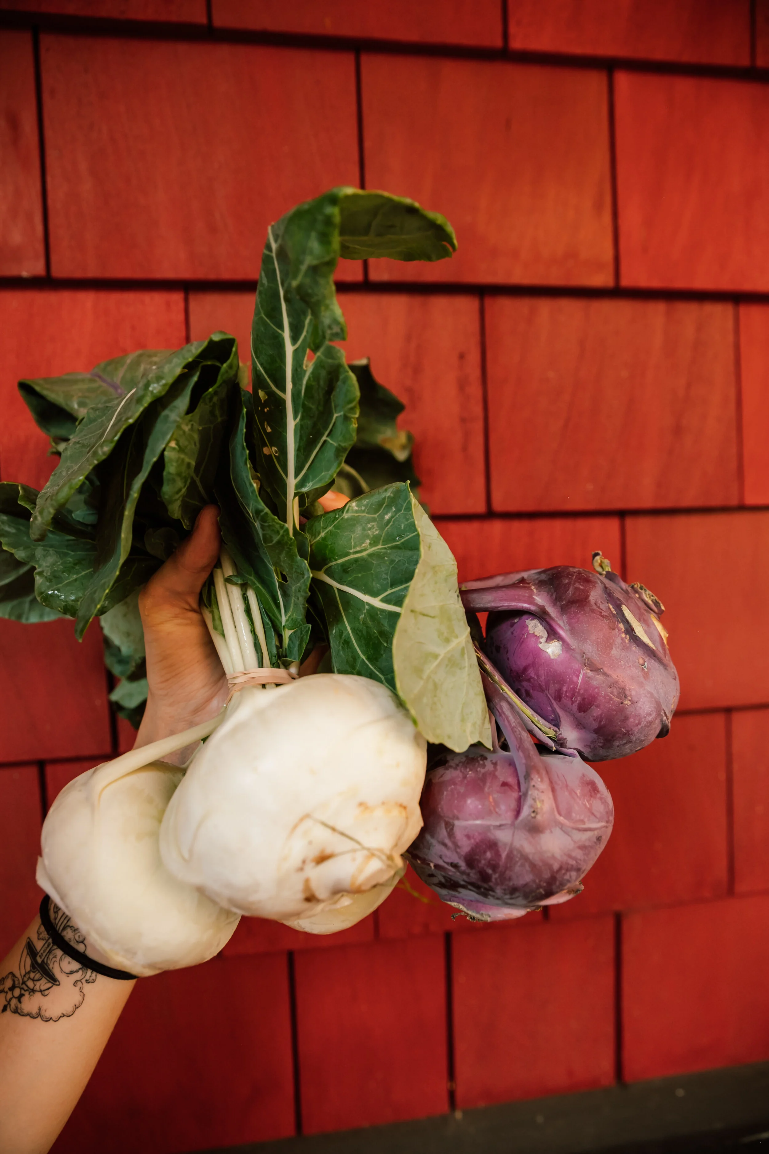 Farmers Market — Saskatoon Farm