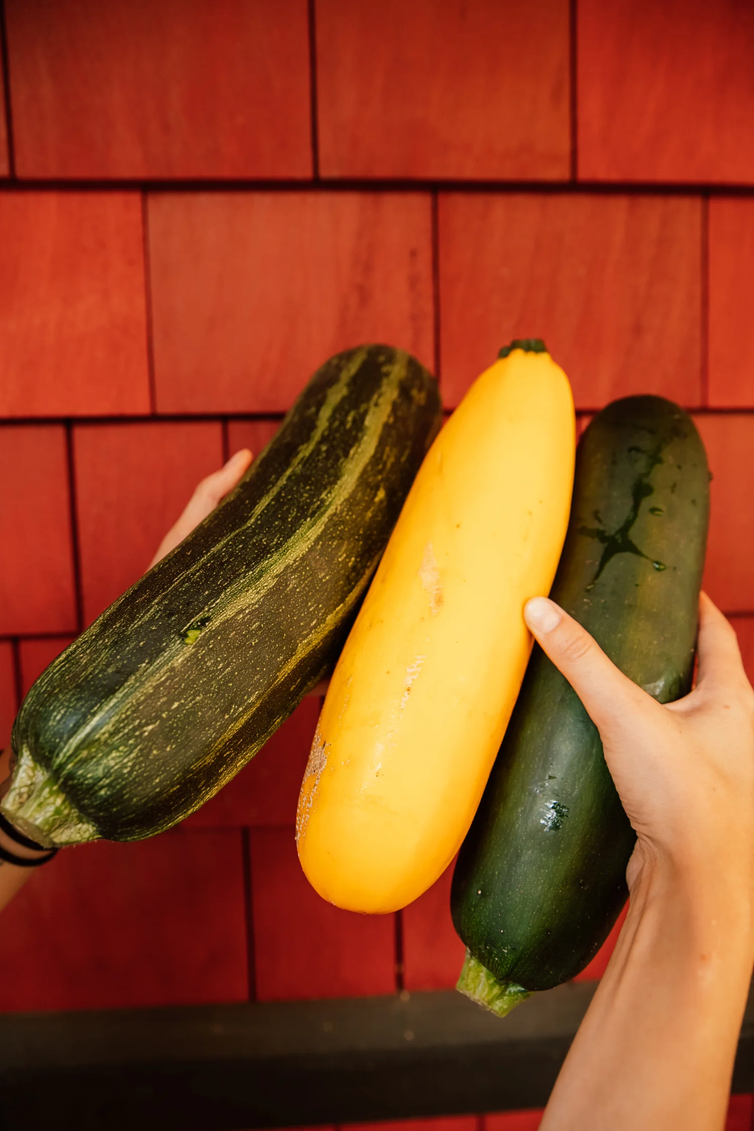 Farmers Market — Saskatoon Farm