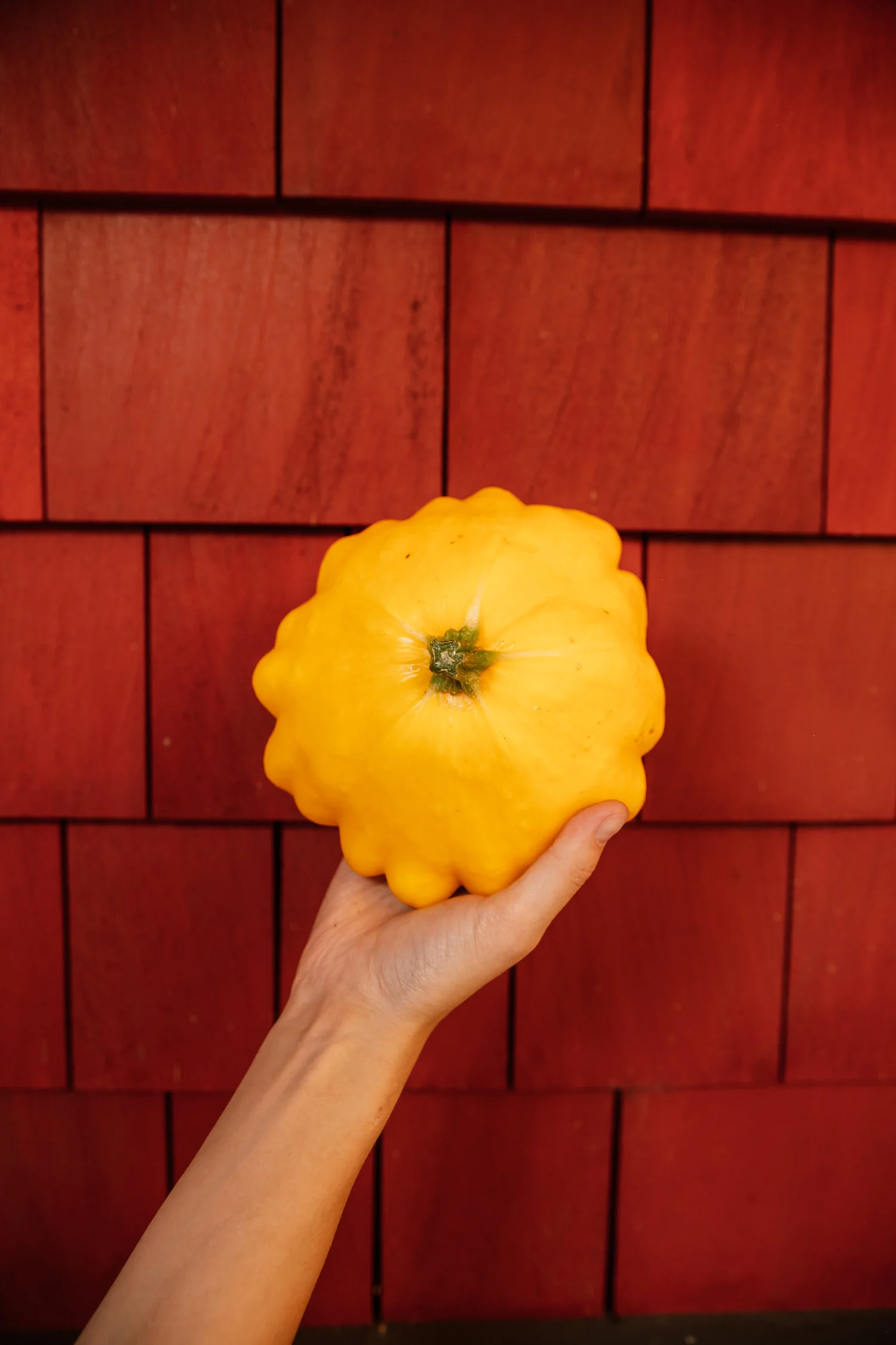 Farmers Market — Saskatoon Farm