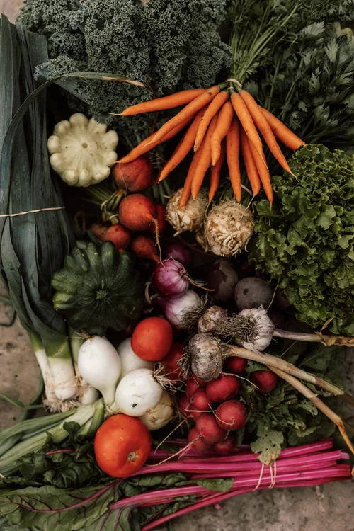 Farmers Market — Saskatoon Farm