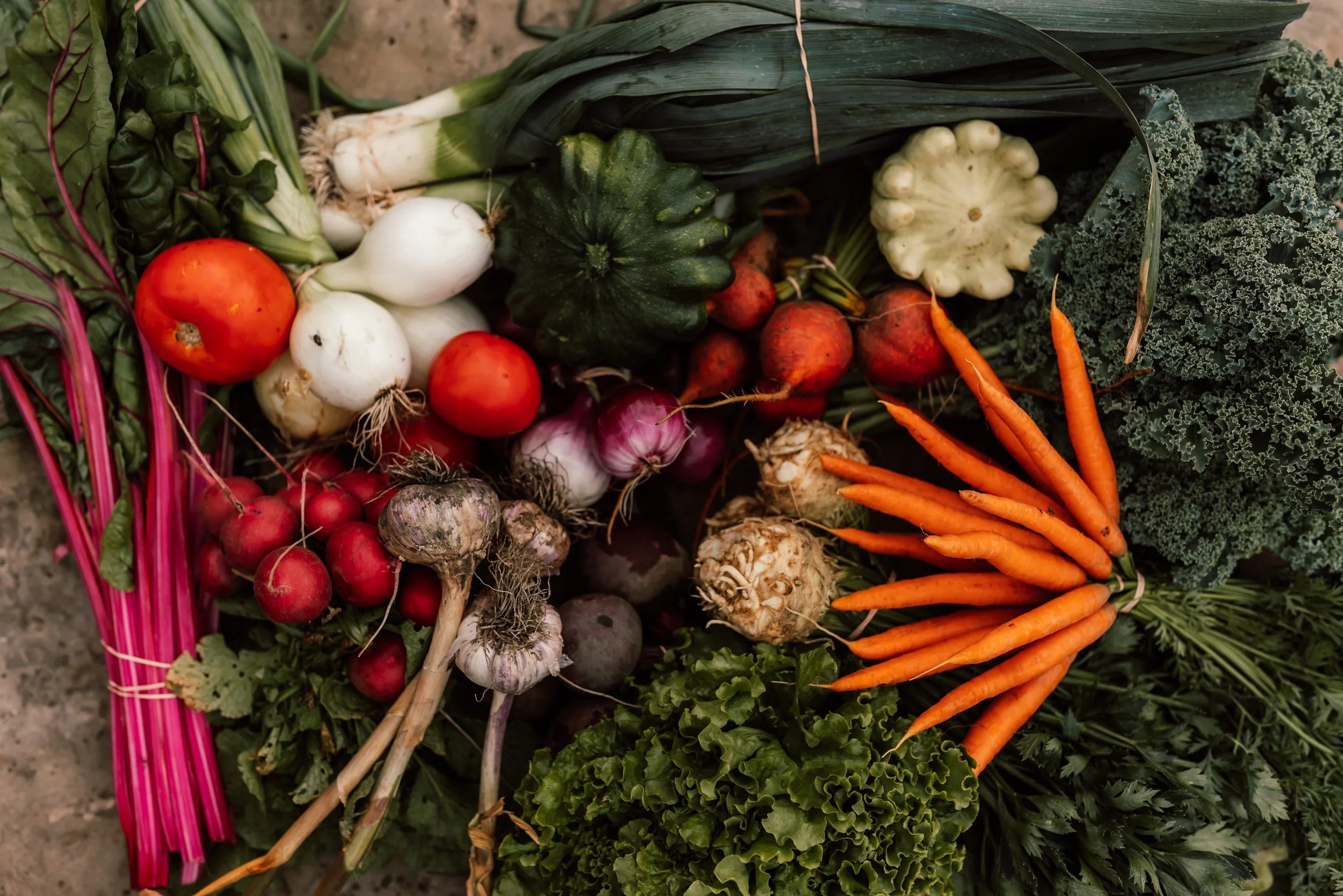 Farmers Market — Saskatoon Farm