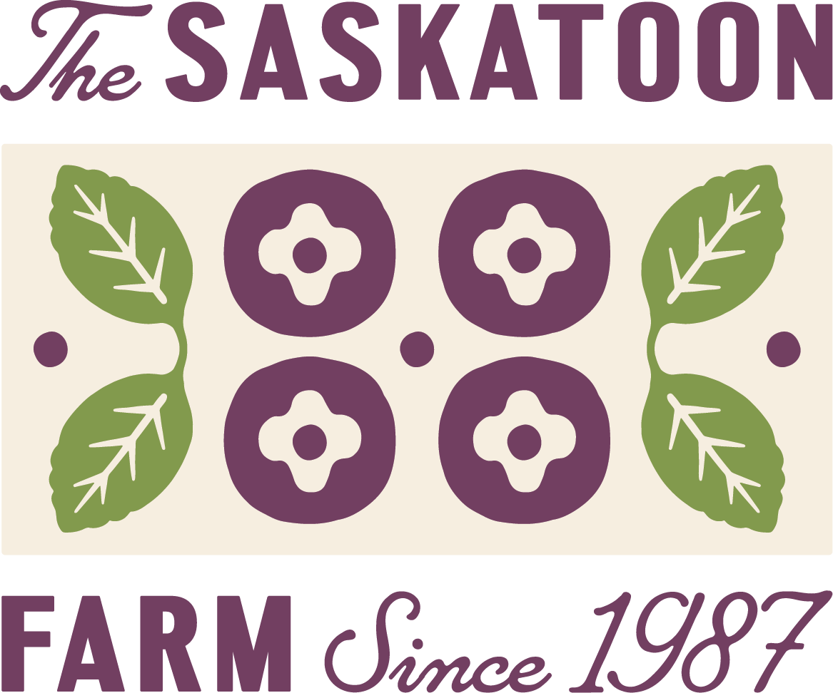 Saskatoon Farm Harvest Market – Local Vendors, Fresh Produce & Family ...