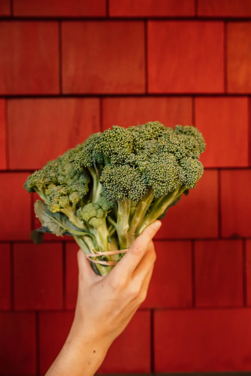 Farmers Market — Saskatoon Farm