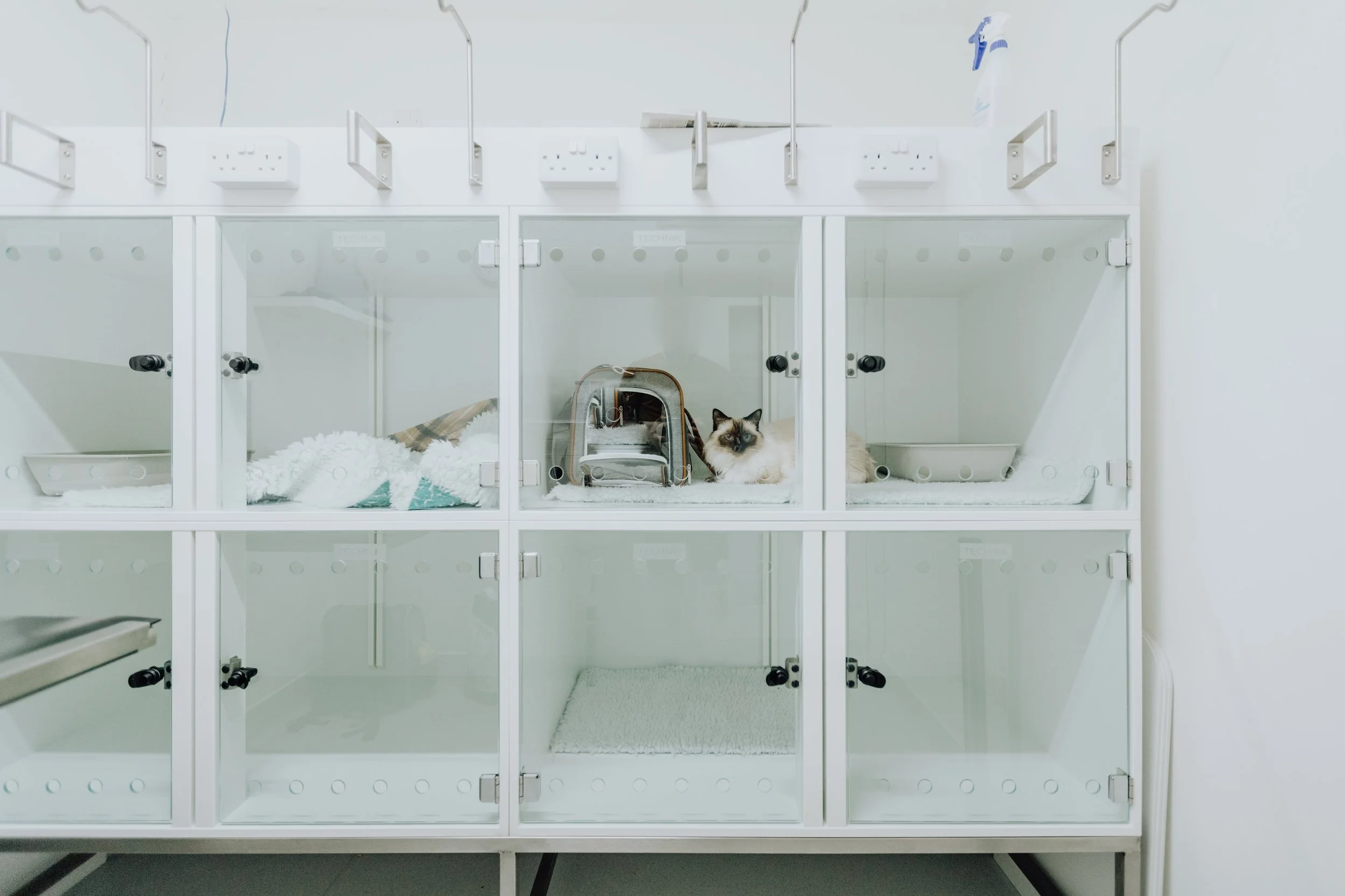 The Urban Vet | Earlsfield | Wimbledon | Tooting