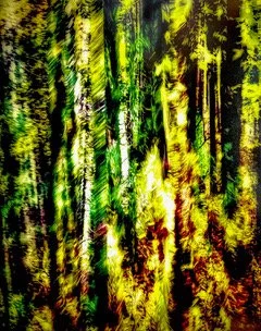 Candace diCarlo, Cartesian Coordinates — The Maine Museum of ...