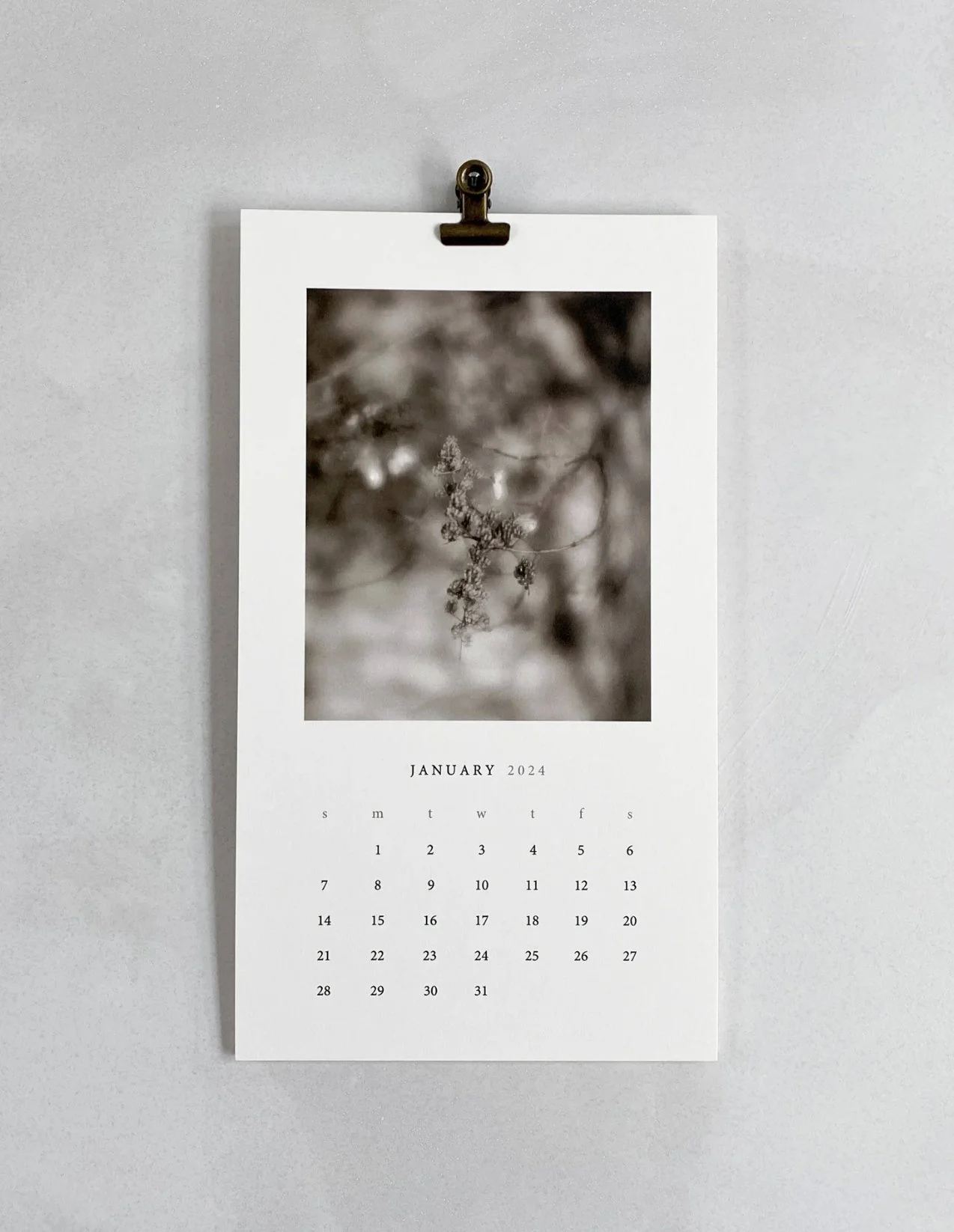 Prints and Portfolios — The Maine Museum of Photographic Arts