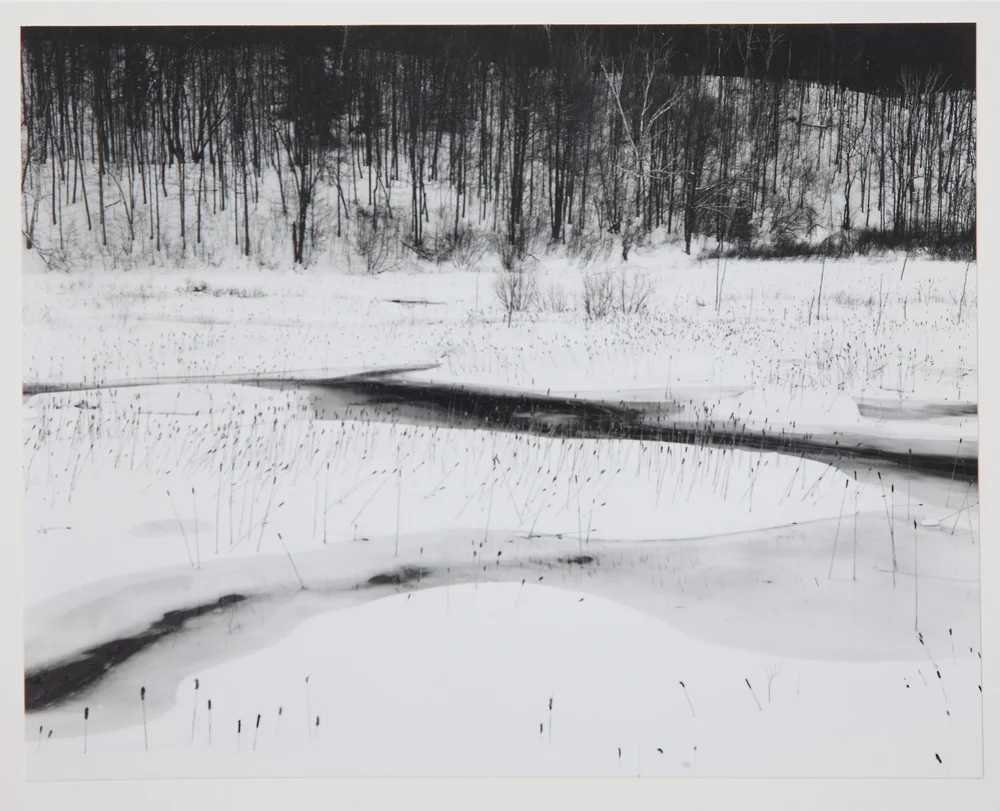 Traditional Painting Genres in Photography; A Holiday Exhibition — The ...