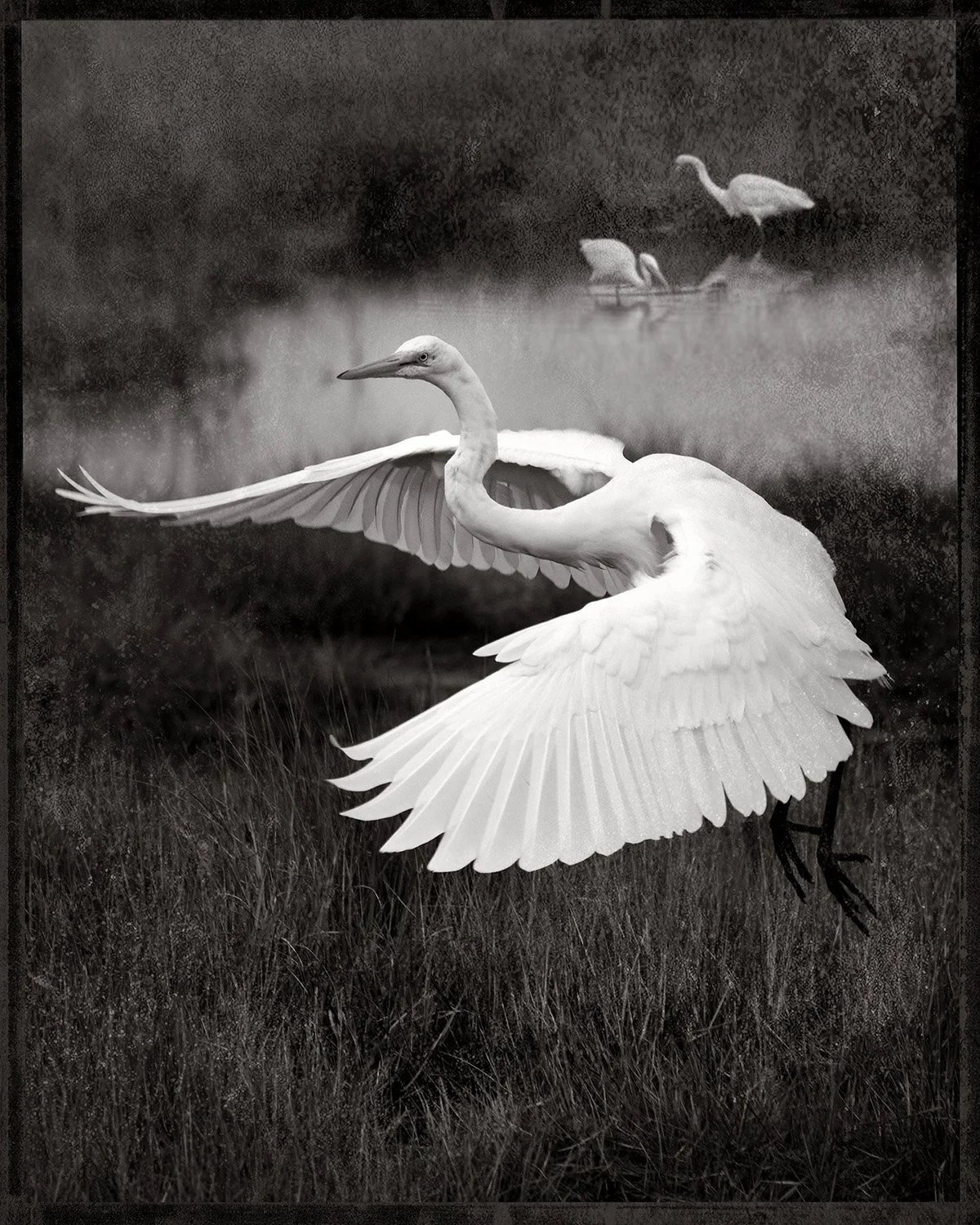 Black & White Prints — The Maine Museum of Photographic Arts
