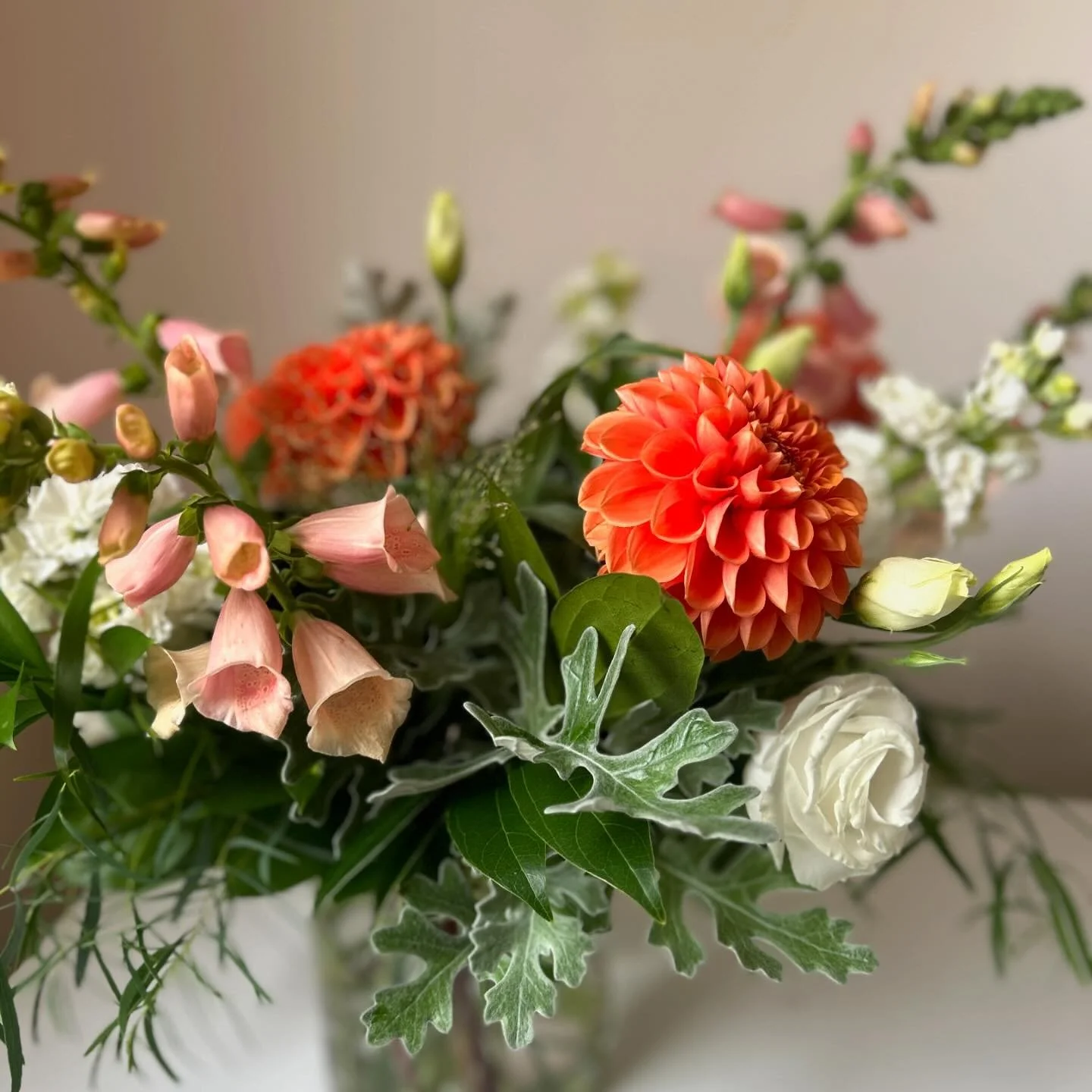 Celadon Floral - Brunswick, Maine Florist