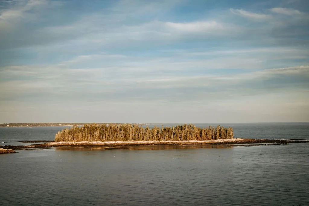 Unique and sophisticated floral arrangements delivered along the ...