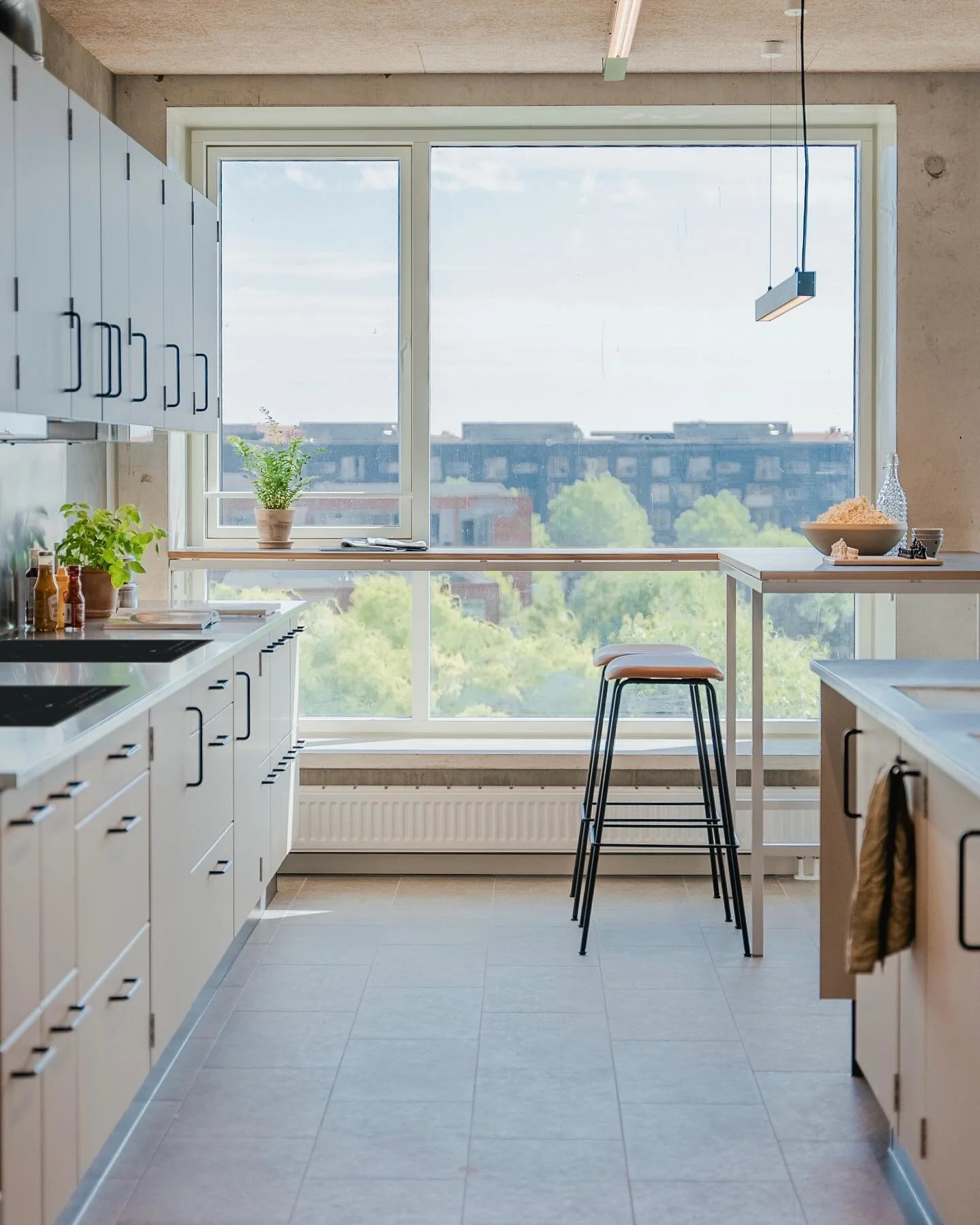 UMEUS Student co-living