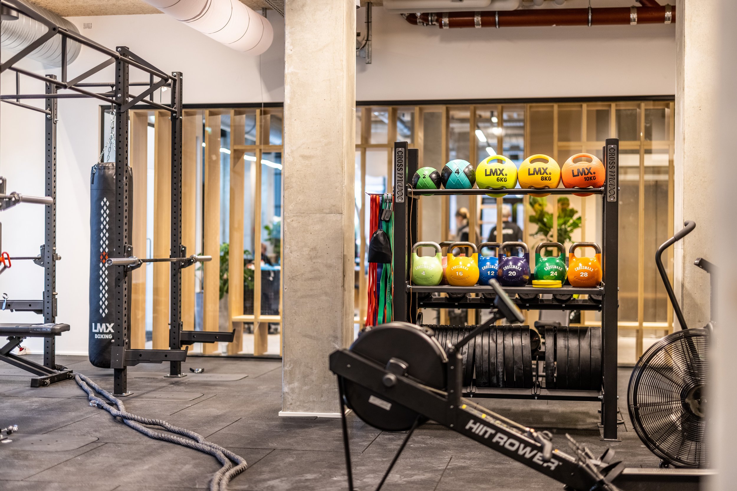 UMEUS Student co-living