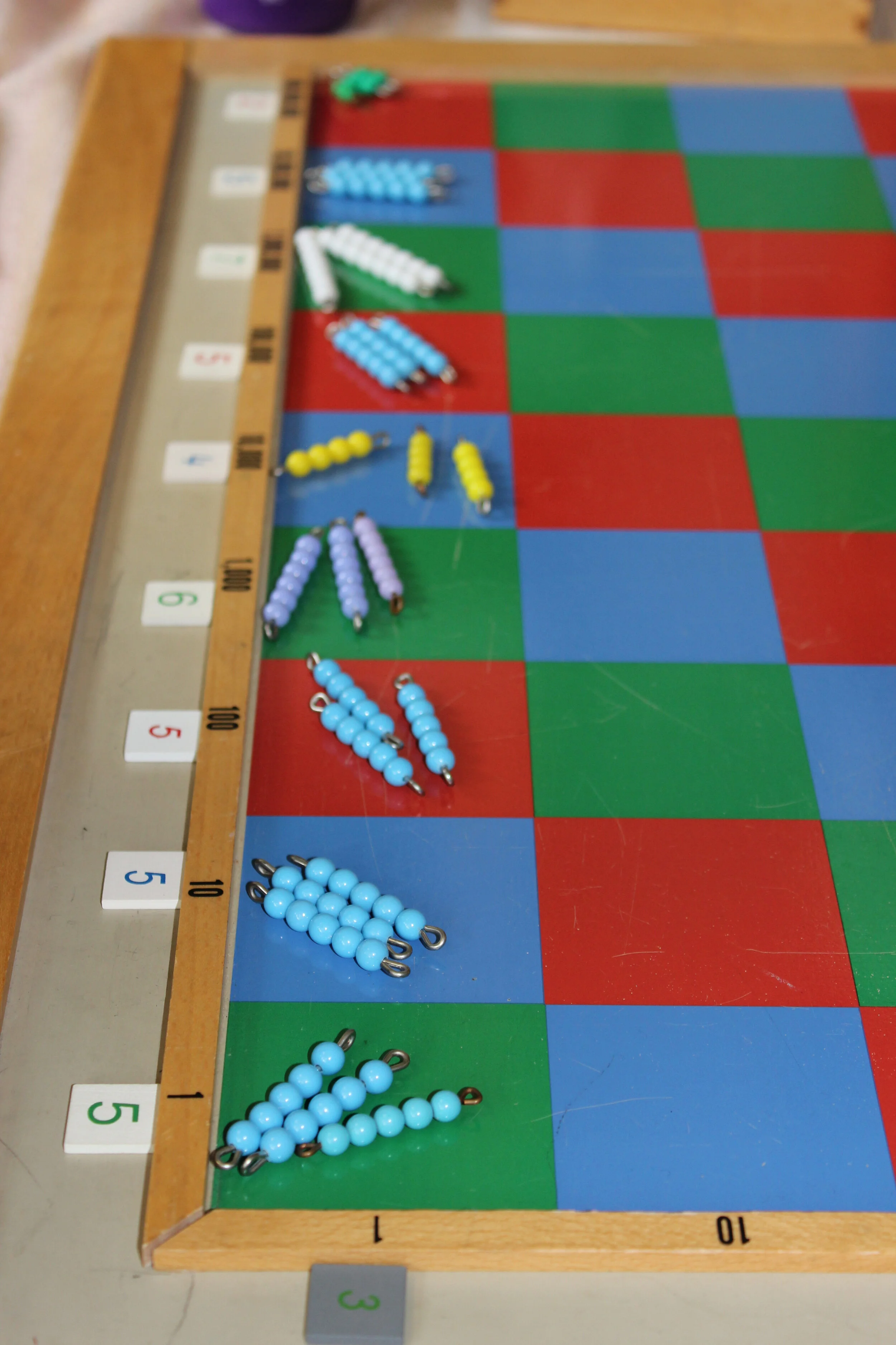 Mountain Laurel Montessori Collective