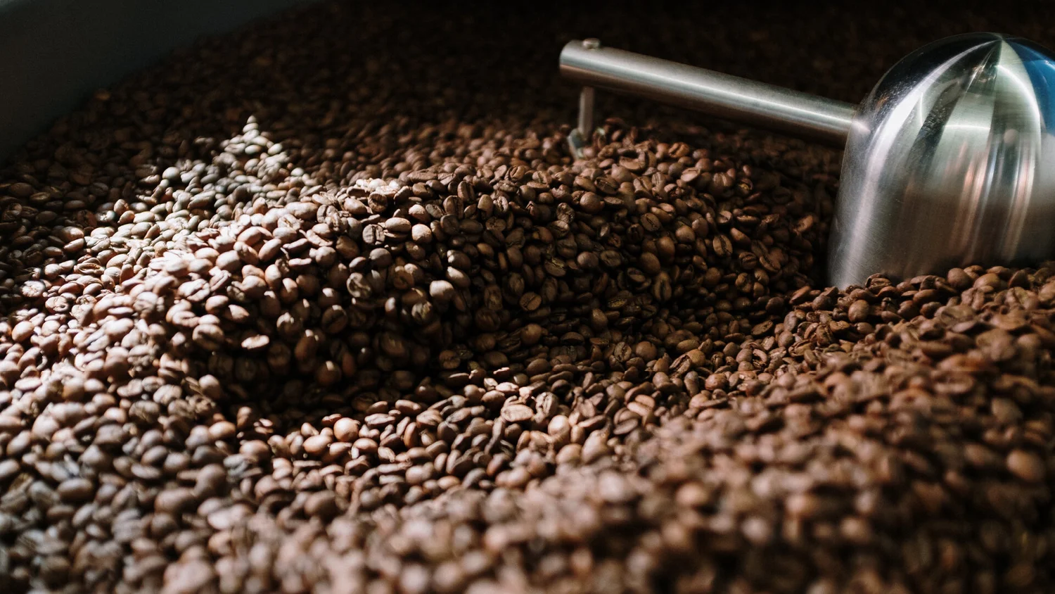 Contact — Safai Coffee