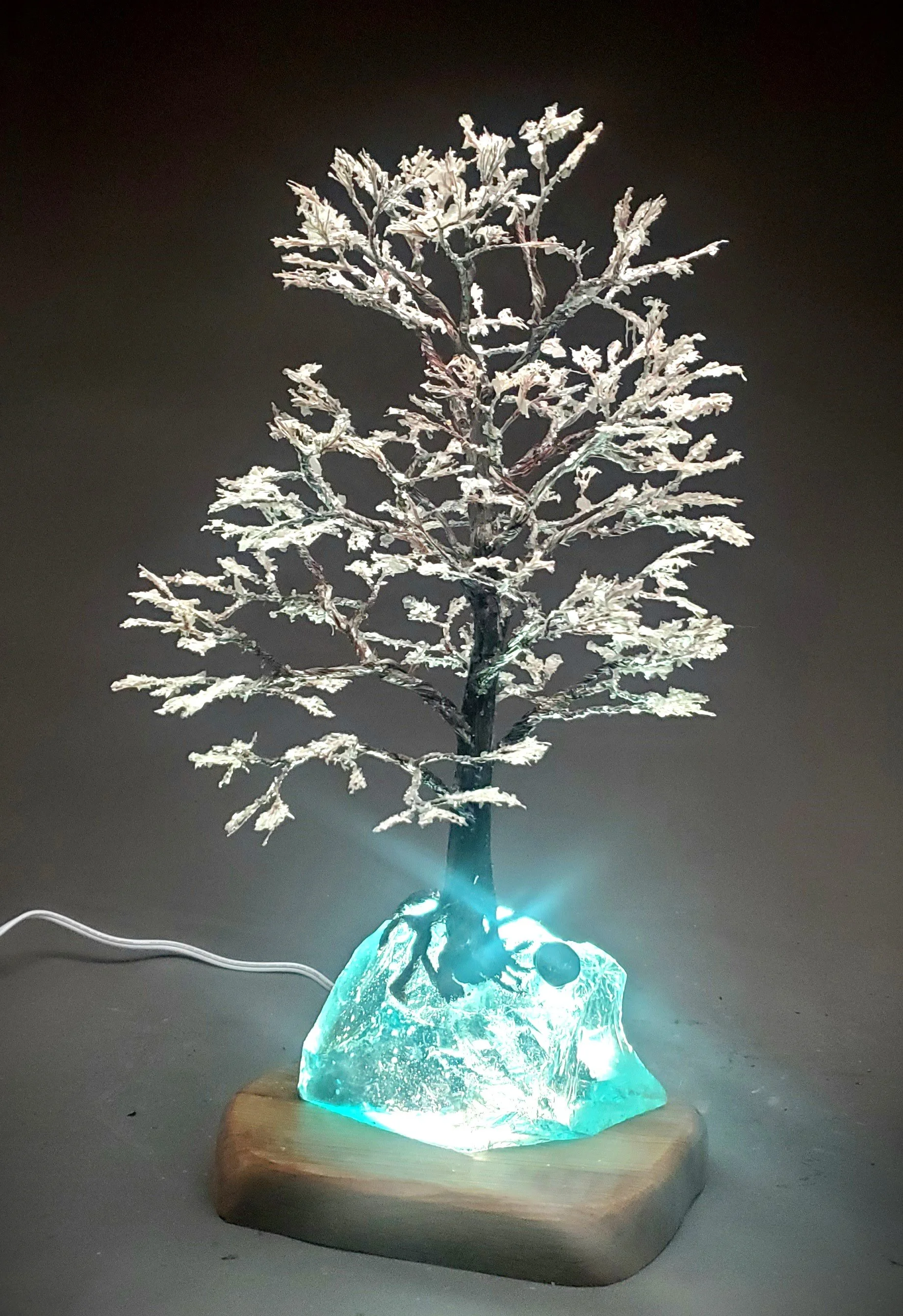 Fantasy Collection — Wayne Trinklein