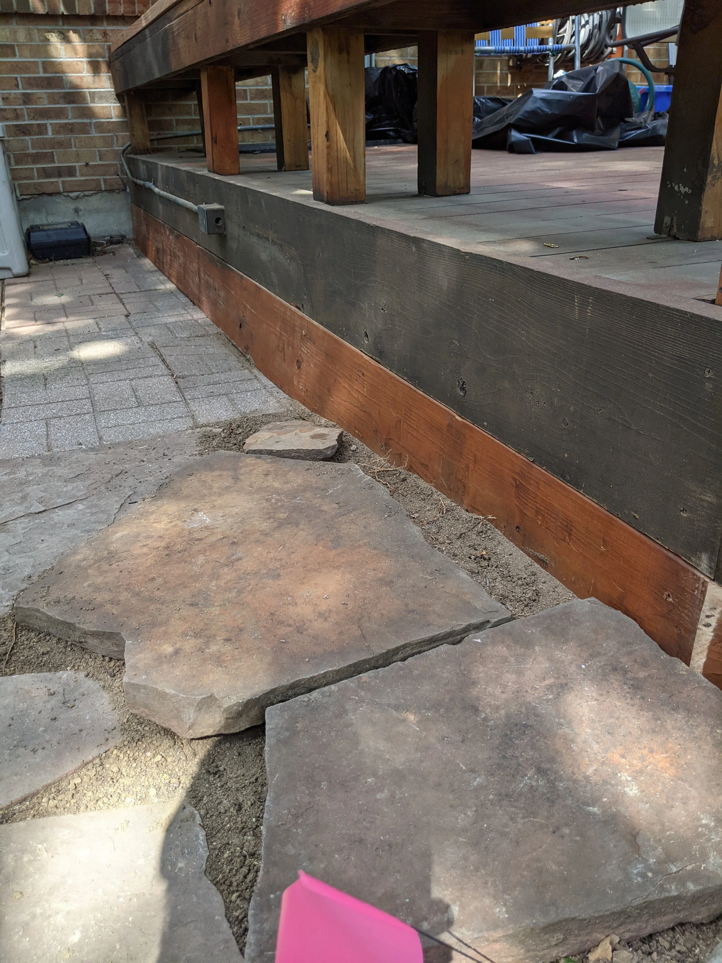 Rats - How to Get Rid of Them Under your Deck — Whitmore Pest ...