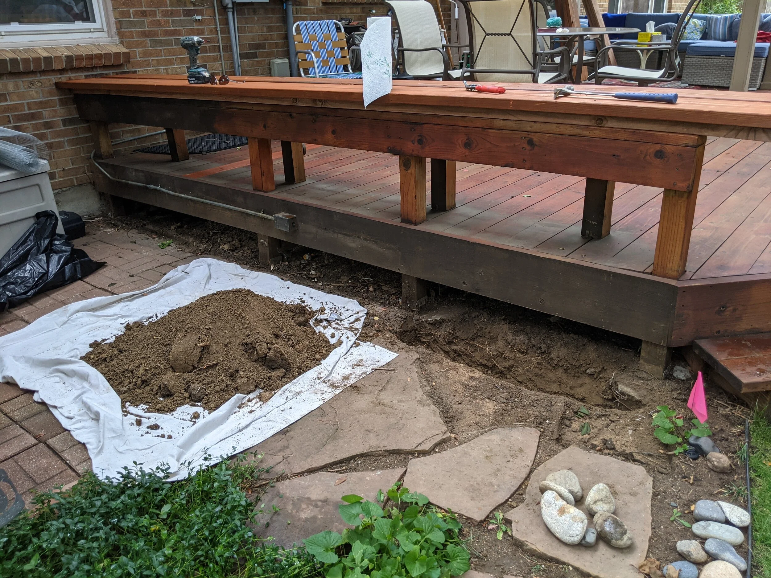 Rats - How to Get Rid of Them Under your Deck — Whitmore Pest ...